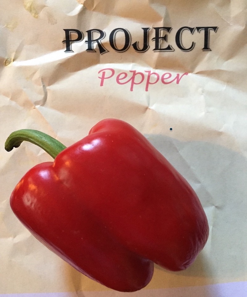Project Pepper – the Next One! – KAREN STENSGAARD
